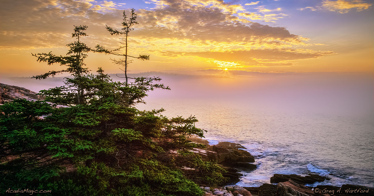 Gorgeous Acadia Sunrise Img 1666