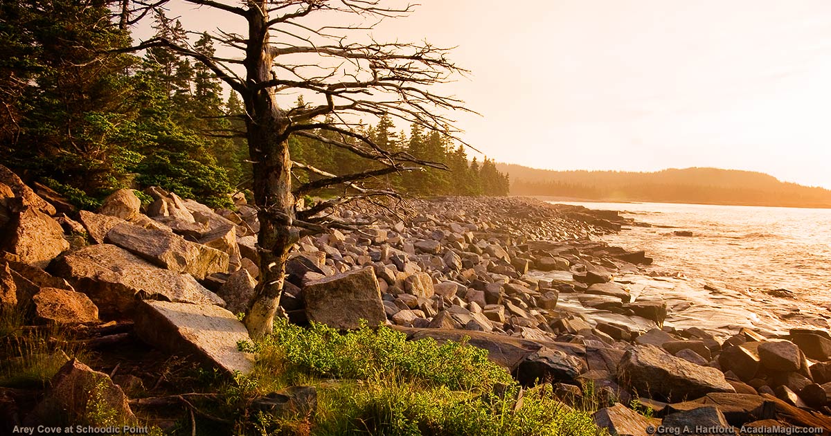 Arey Cove in Acadia National Park at Schoodic