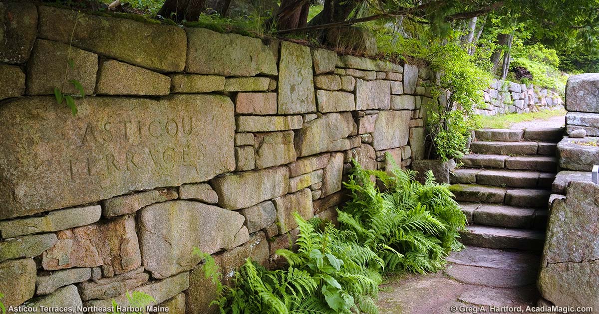 Thuya Garden - Asticou Terraces Steps