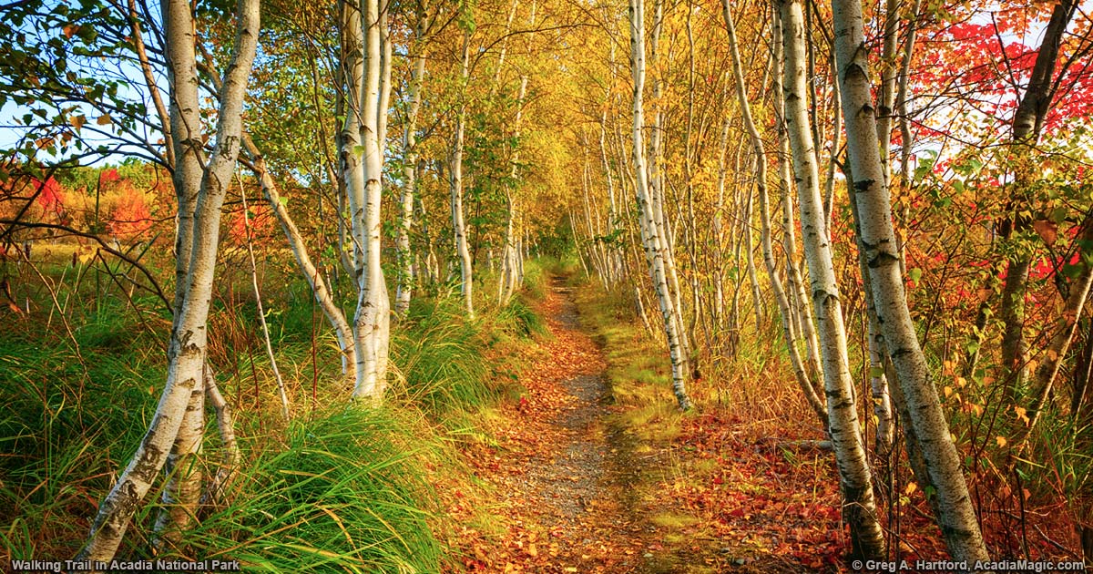 Sieur de Monts Spring Hiking Trail to Bar Harbor