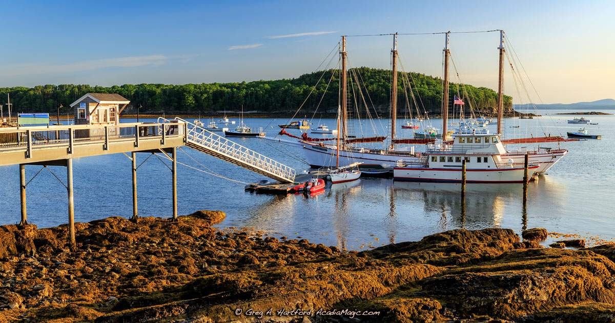 Bar Harbor Shore Path View of Schooner
