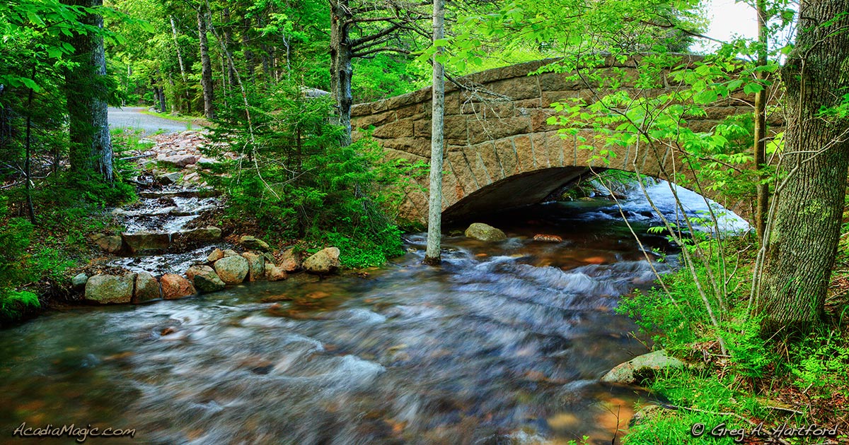 Acadia National Park Carriage Road Bridge