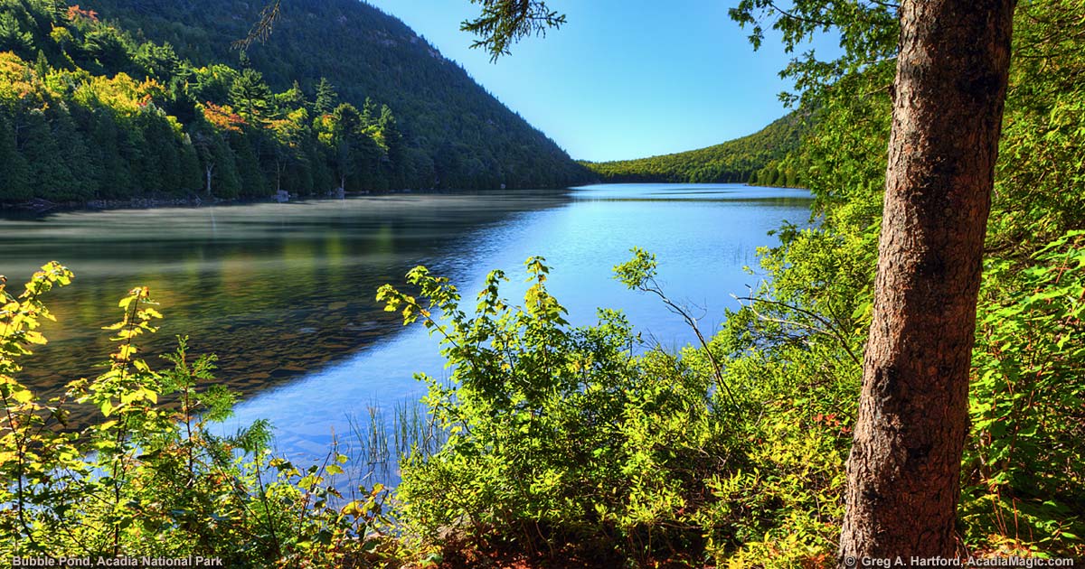 Acadia National Park - Bubble Pond Path