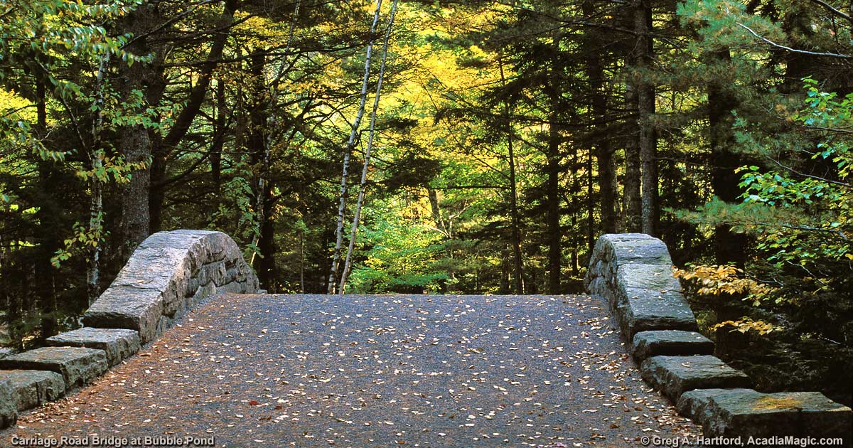 Carriage Road at Bubble Pond - Acadia National Park
