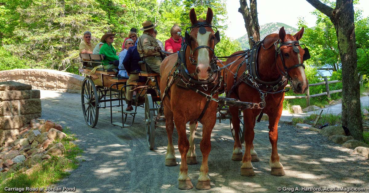 Carriage Road near Wildwood Stables in Acadia