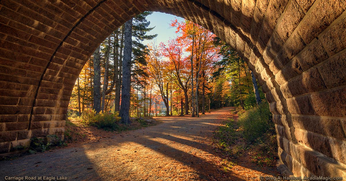 Carriage Road & Bridge In Bar Harbor, ME