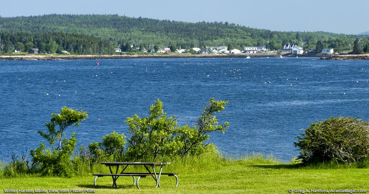 Frazer Point Picnic Area in Acadia National Park at Schoodic