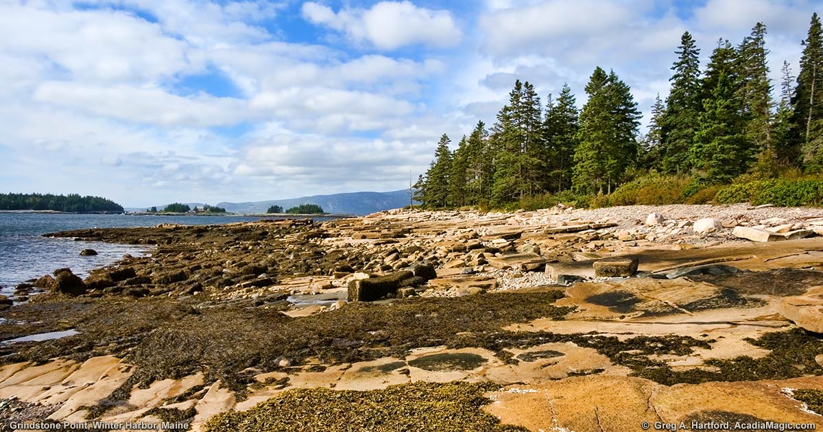 Grindstone Point - Winter Harbor, Maine