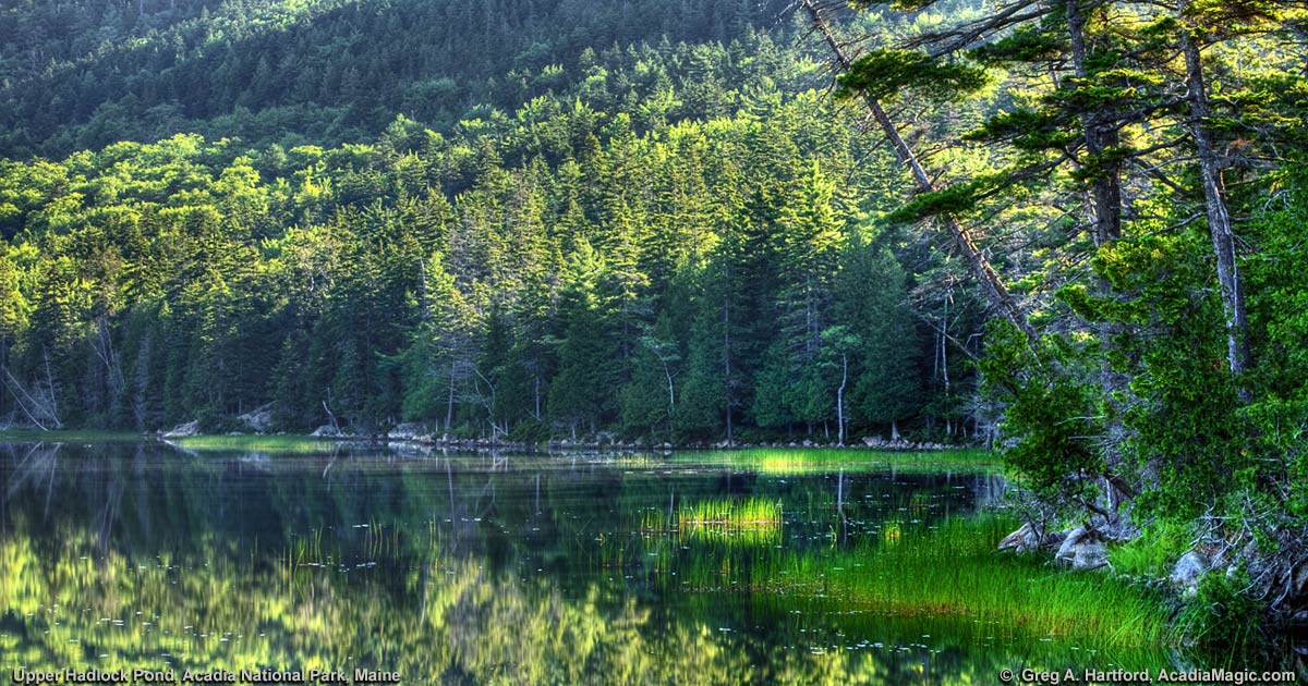 Upper Hadlock Pond Acadia National Park Maine