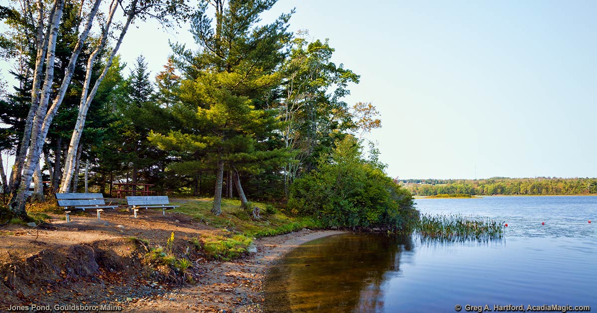 Jones Pond Recreation Area in Gouldsboro, Maine