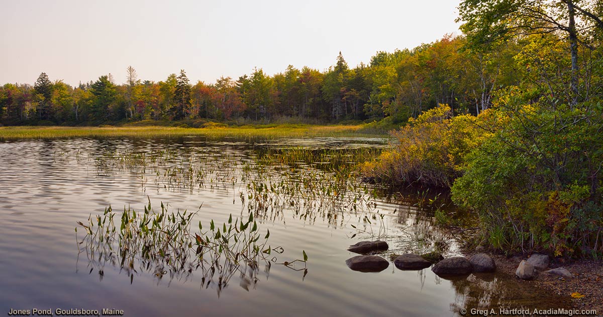 Jones Pond Boat Launch Area in Gouldsboro, Maine