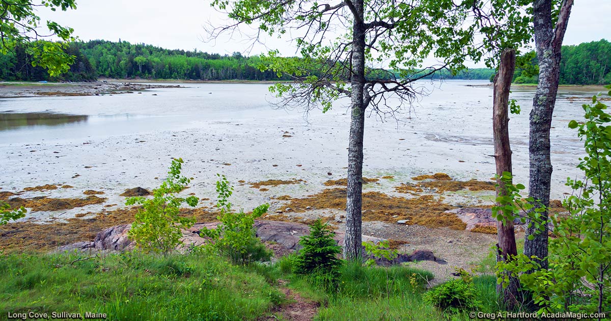 Long Cove in Sullivan, Maine