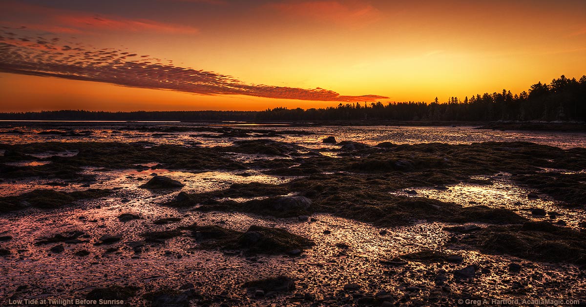 Twilight on Thompson Island - Photo 7