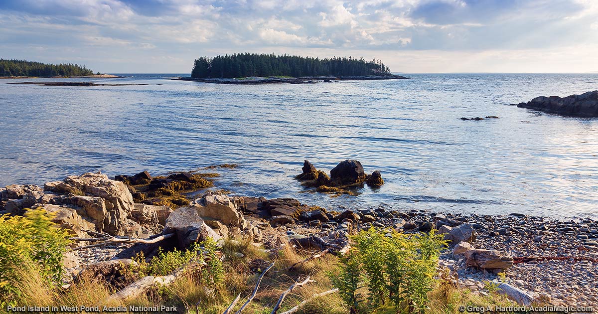 Pond Island in Acadia National Park, Maine