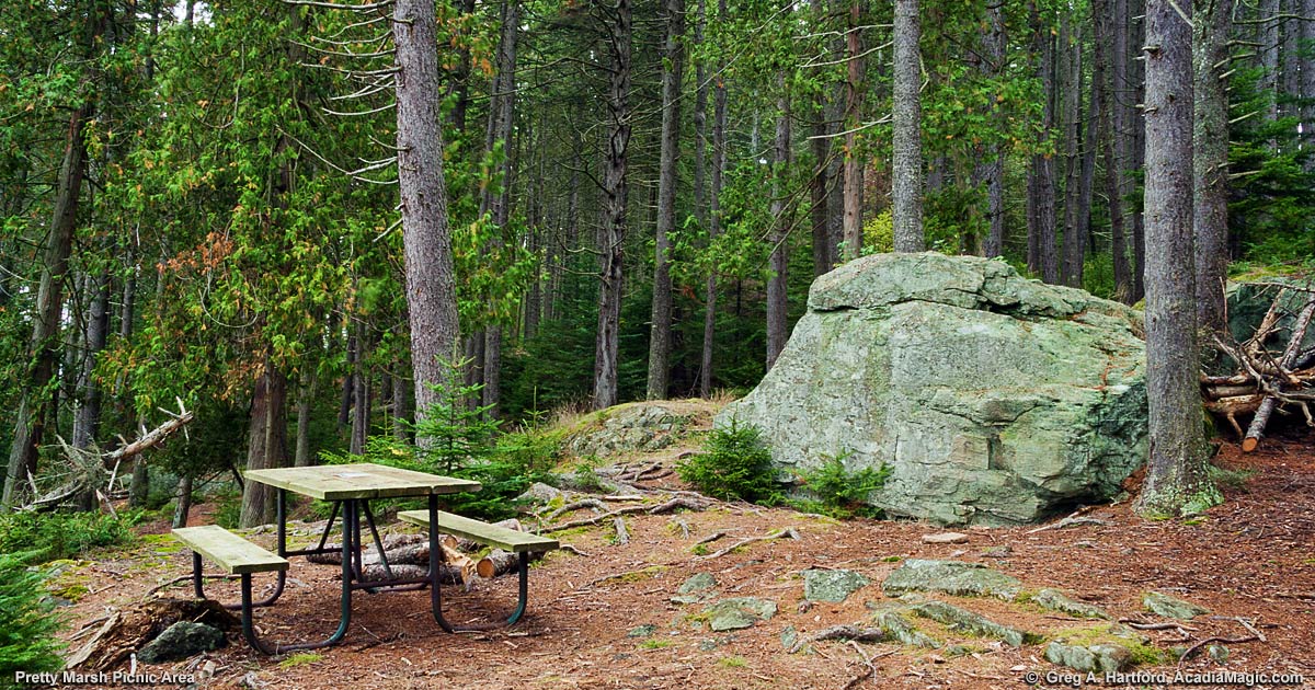 Pretty Marsh Picnic Area- Acadia National Park