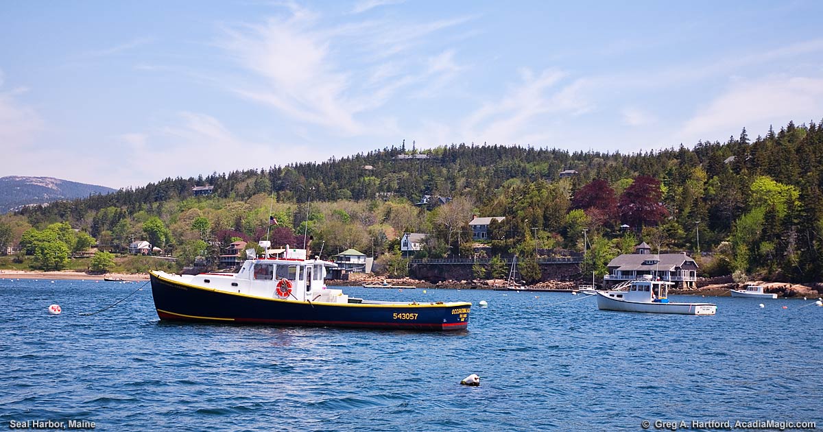 Seal Harbor Gallery 2