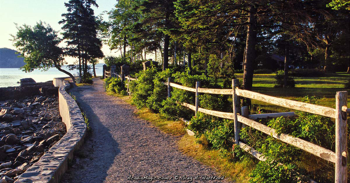 Shore Path with Long Log Fence - Bar Harbor