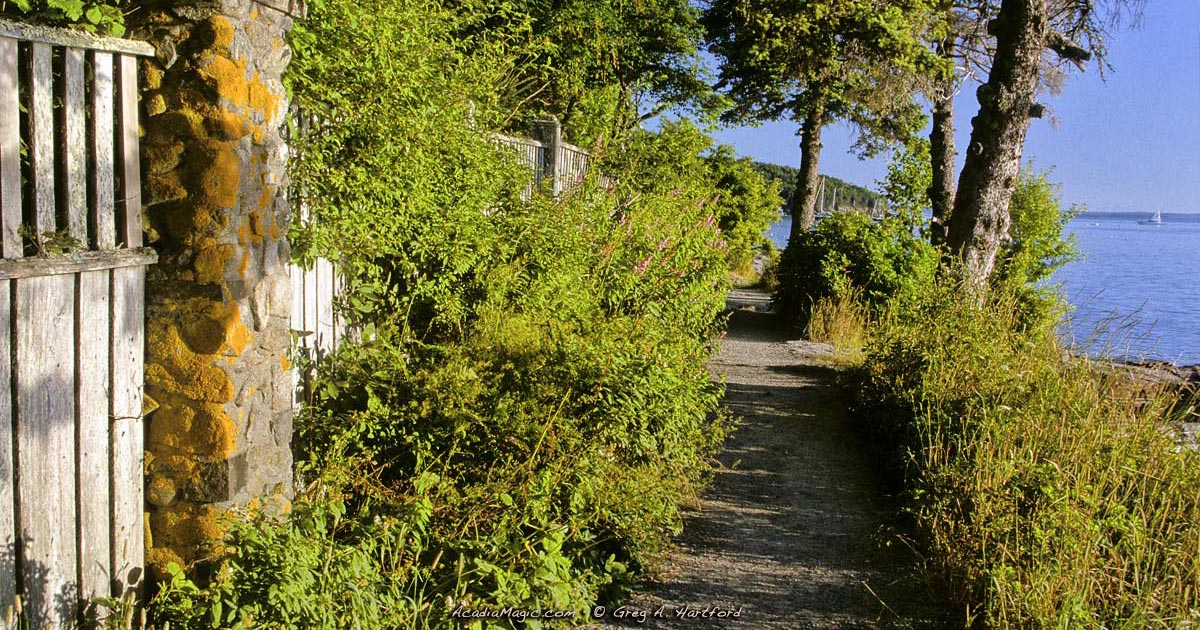 Bar Harbor Shore Path Walking Northwest
