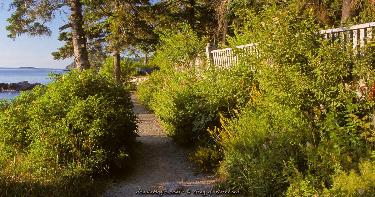 Bar Harbor Shore Path - Walking South