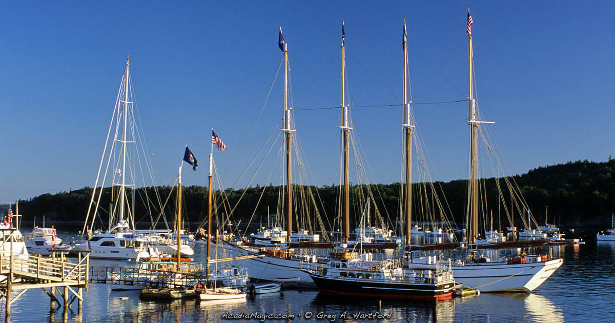 Bar Harbor Shore Path - Yachts in Harbor