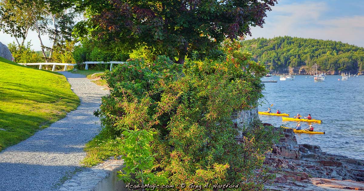 Bar Harbor Shore with Kayaks near Shoreline
