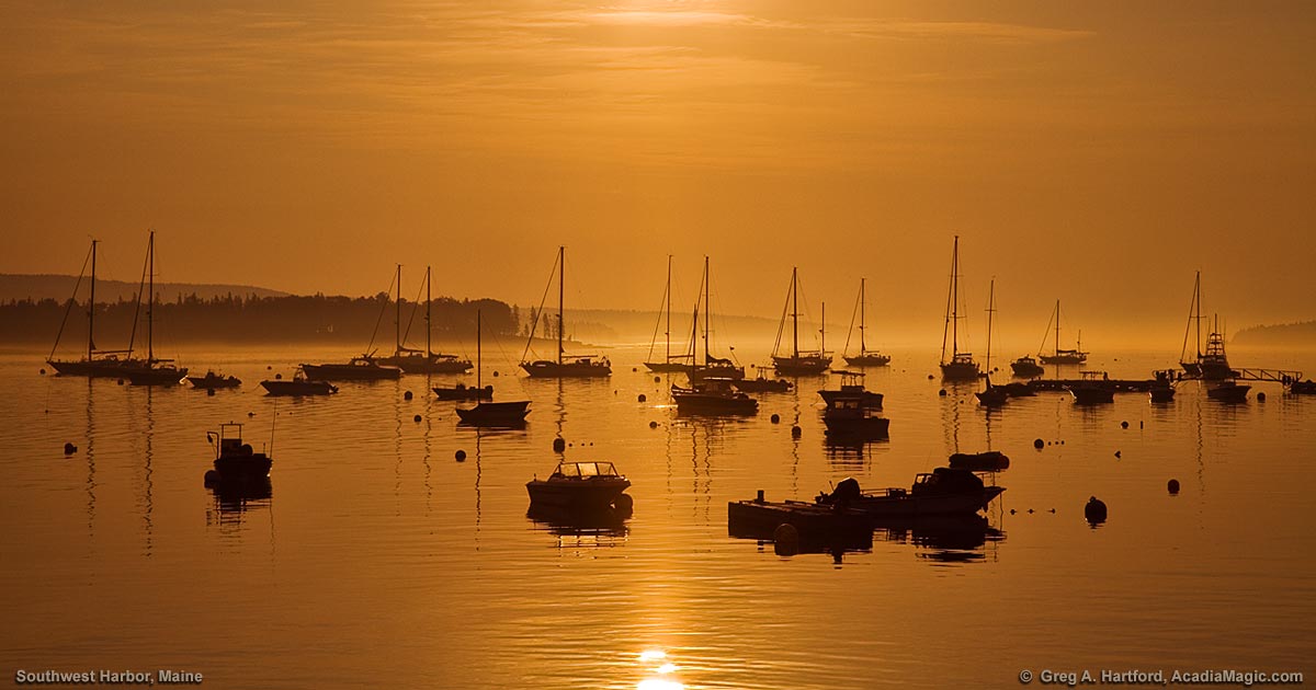 Southwest Harbor Gallery 1