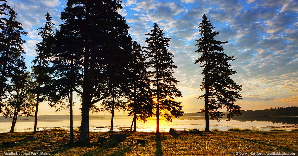 Acadia National Park - Thompson Island Photo