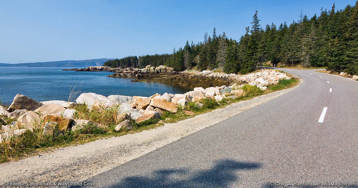 West Pond Cove Next To Schoodic Loop Road