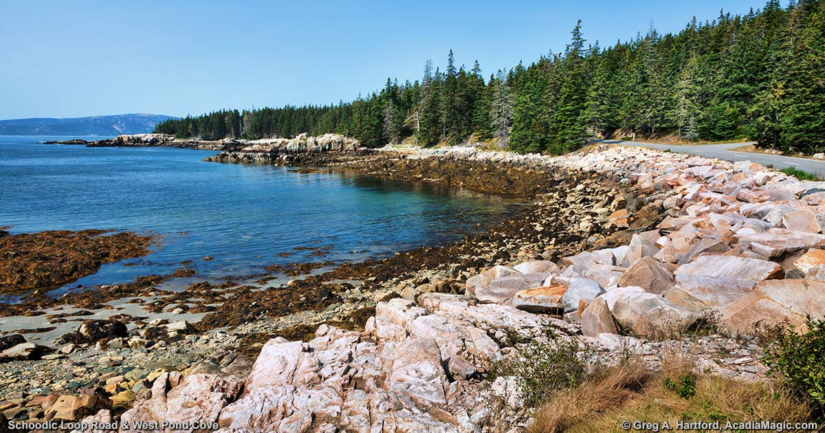 West Pond Cove - Schoodic Peninsula Rocky Shore