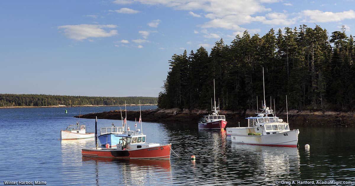 Winter Harbor Gallery - Schoodic