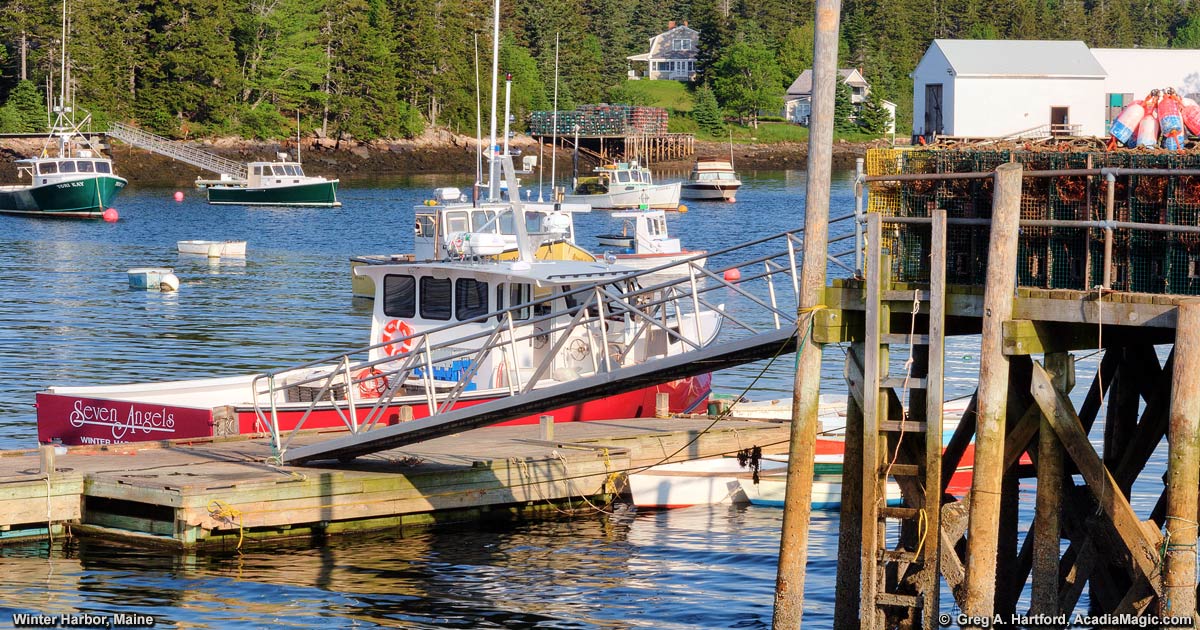 Winter Harbor Gallery 2 - Schoodic