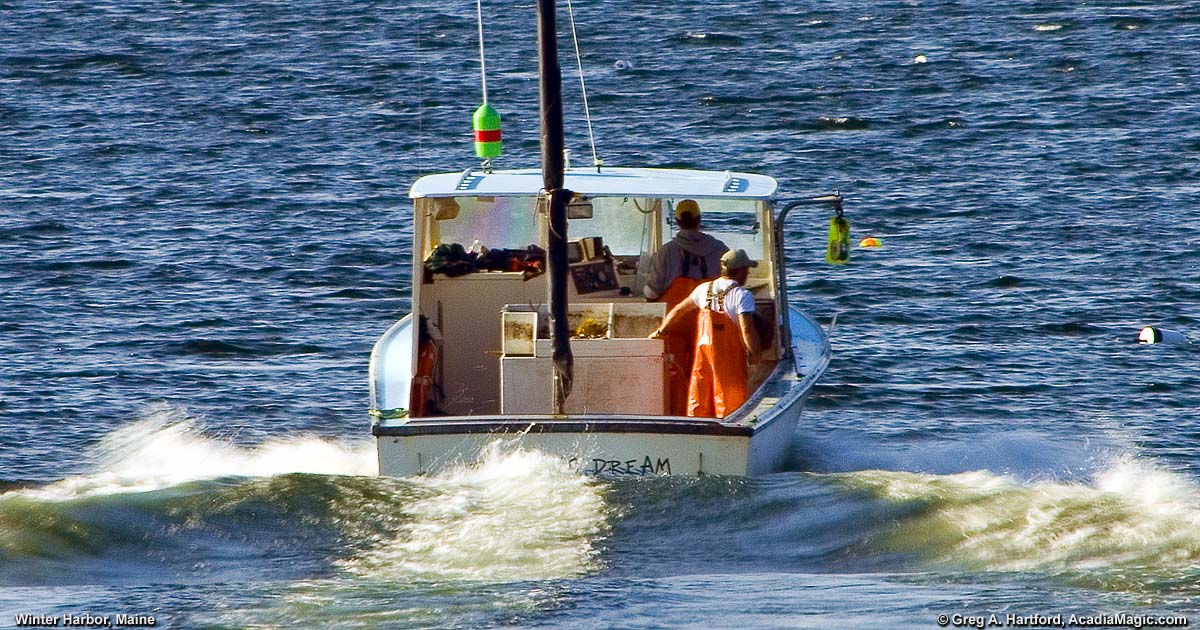Winter Harbor Maine - Downeast