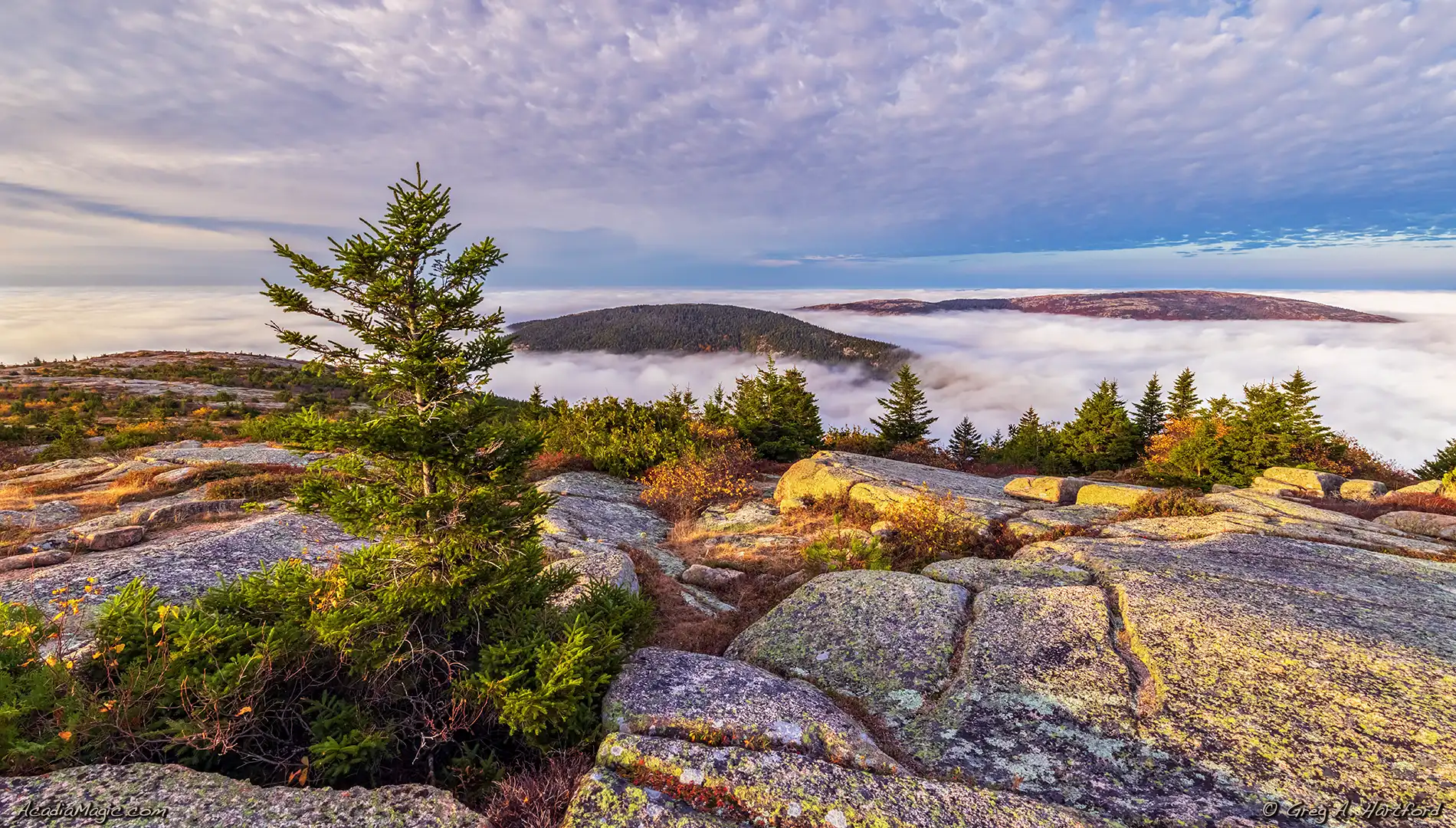 Acadia Nationalpark Maine Acadia National Park Great Head Trail